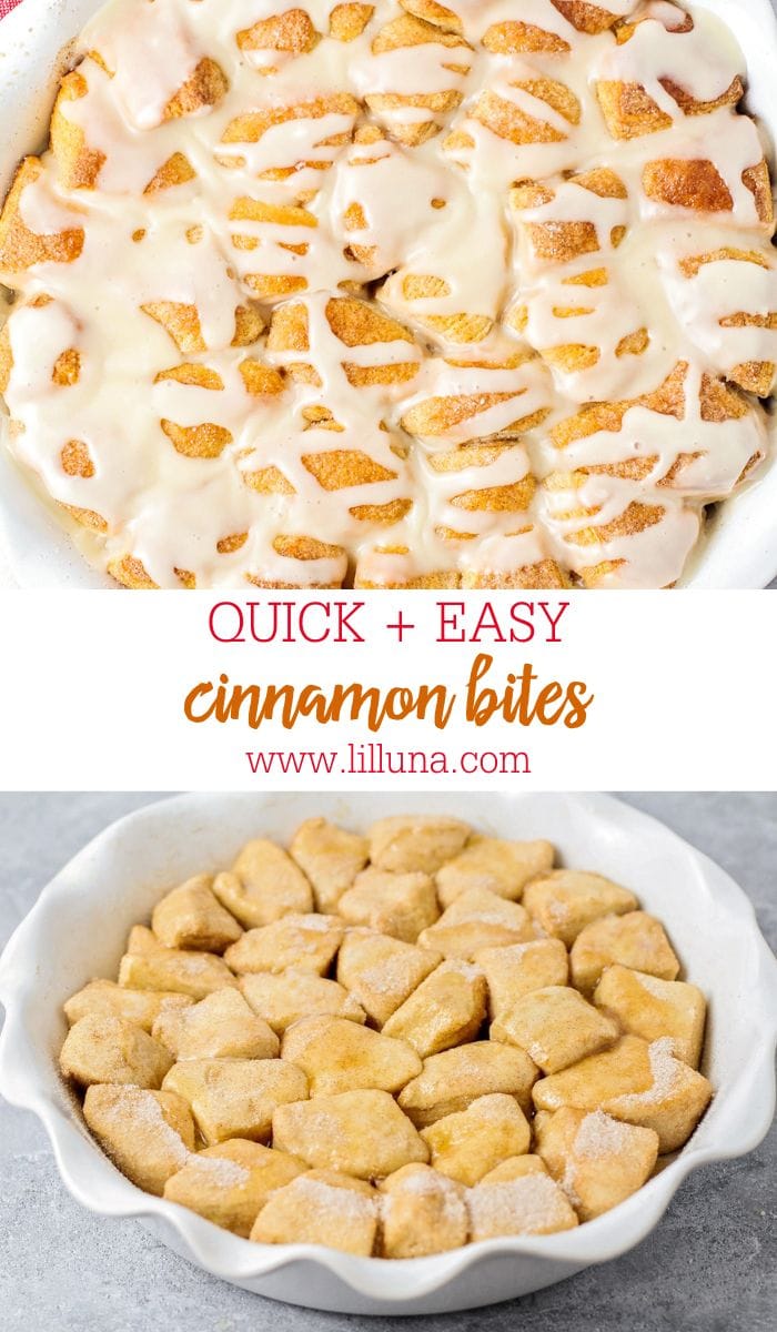 Cinnamon Bites {Quick + Easy!} +VIDEO | Lil' Luna