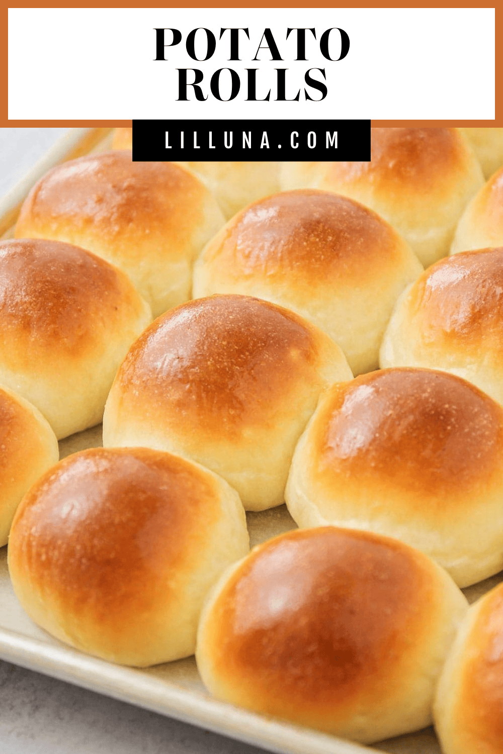 Soft and Fluffy Potato Rolls Recipe