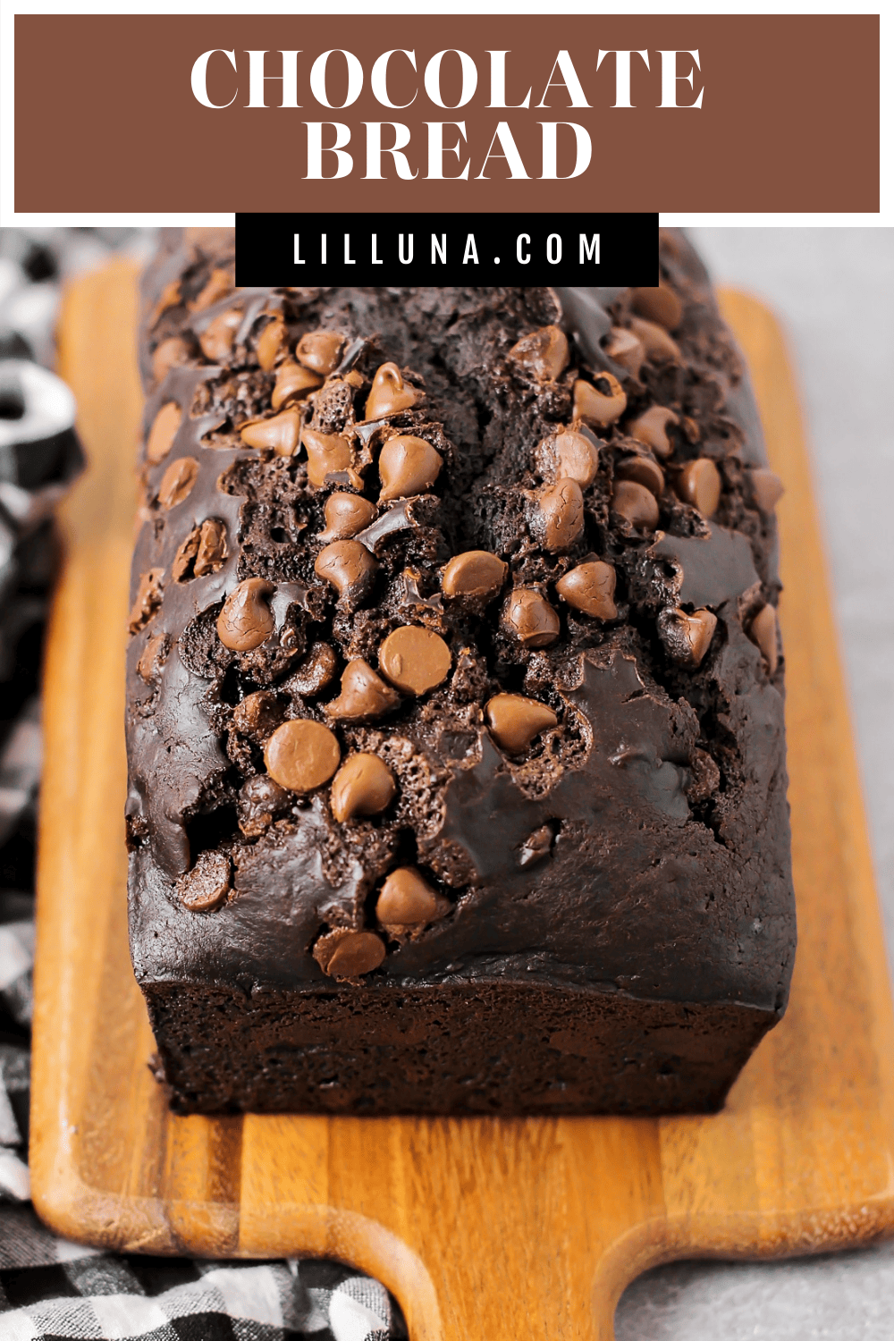 Easy Chocolate Bread {No Yeast!} | Lil' Luna