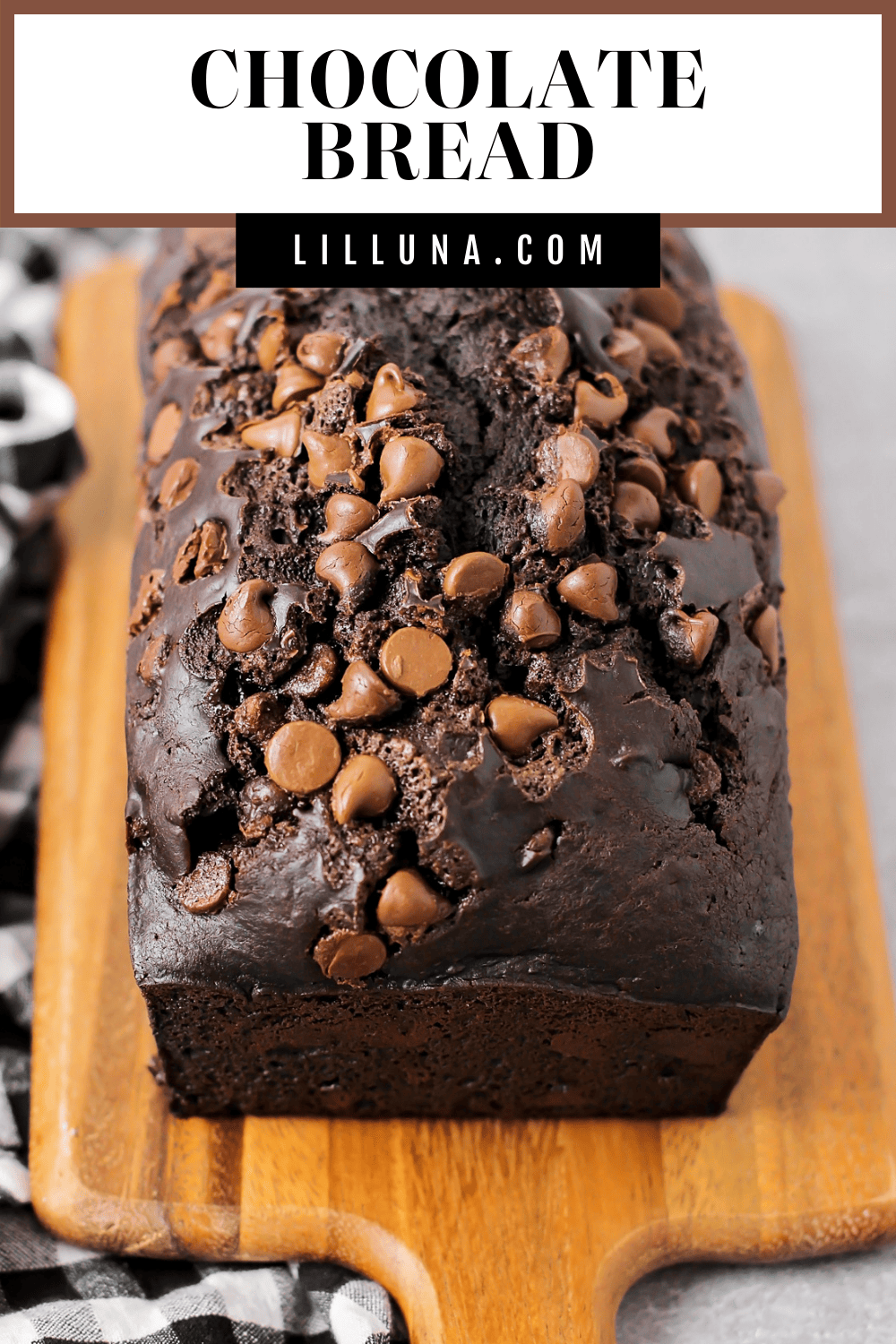 Easy Chocolate Bread {No Yeast!} | Lil' Luna