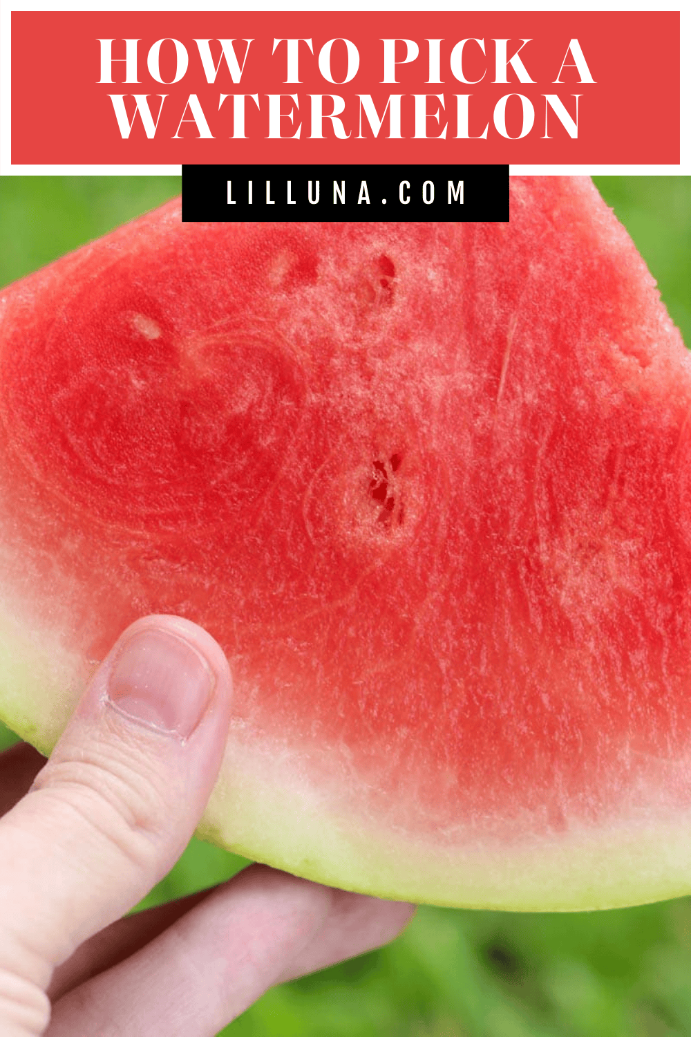 How to Pick a Good Watermelon | Lil' Luna