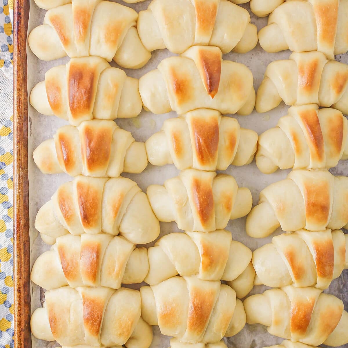 Dinner Rolls and Biscuits | Lil' Luna