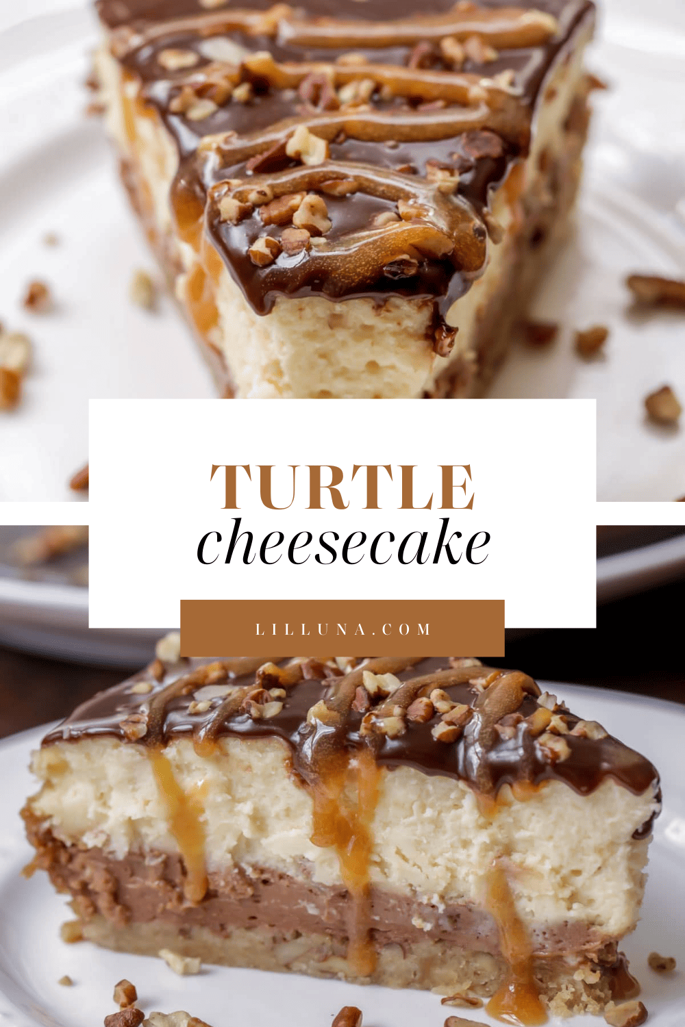 Turtle Cheesecake {Chocolate, Pecans, + Caramel} | Lil' Luna