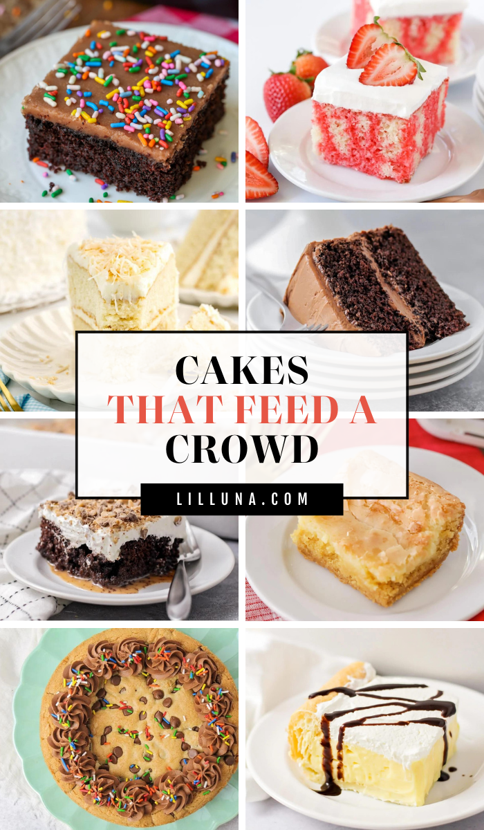 50+ Cakes That Feed A Crowd | Lil' Luna