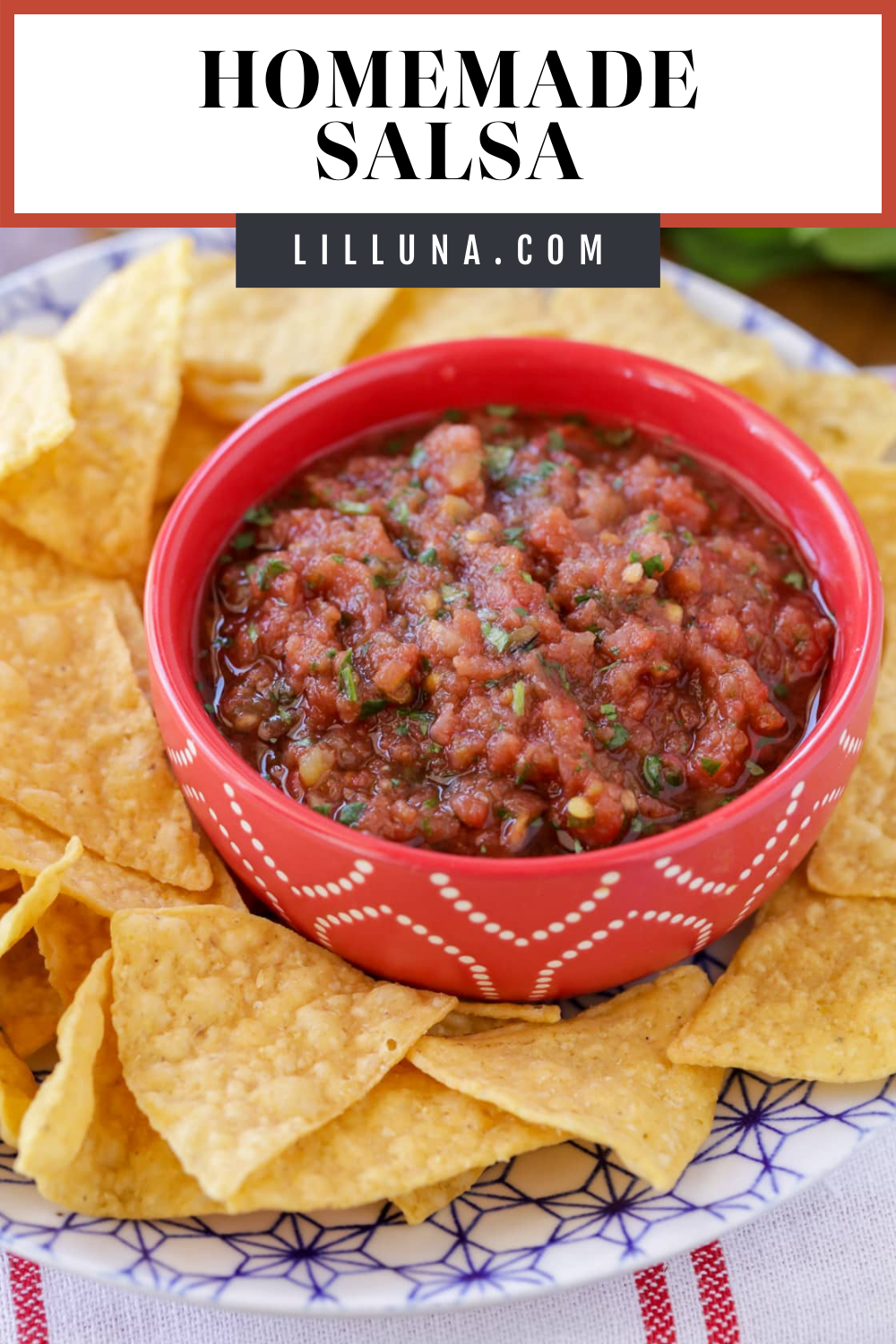 The BEST Homemade Salsa (Made in 5 Minutes!)
