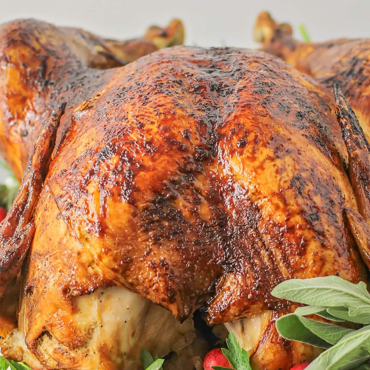 How to Roast a Turkey - Best Tips & Tricks
