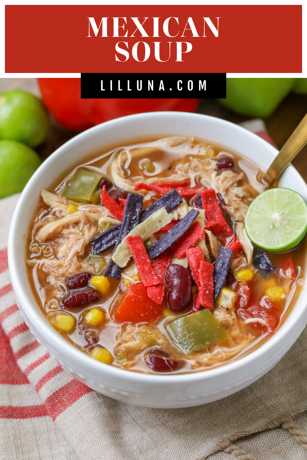 Mexican Soup Recipe | Lil' Luna