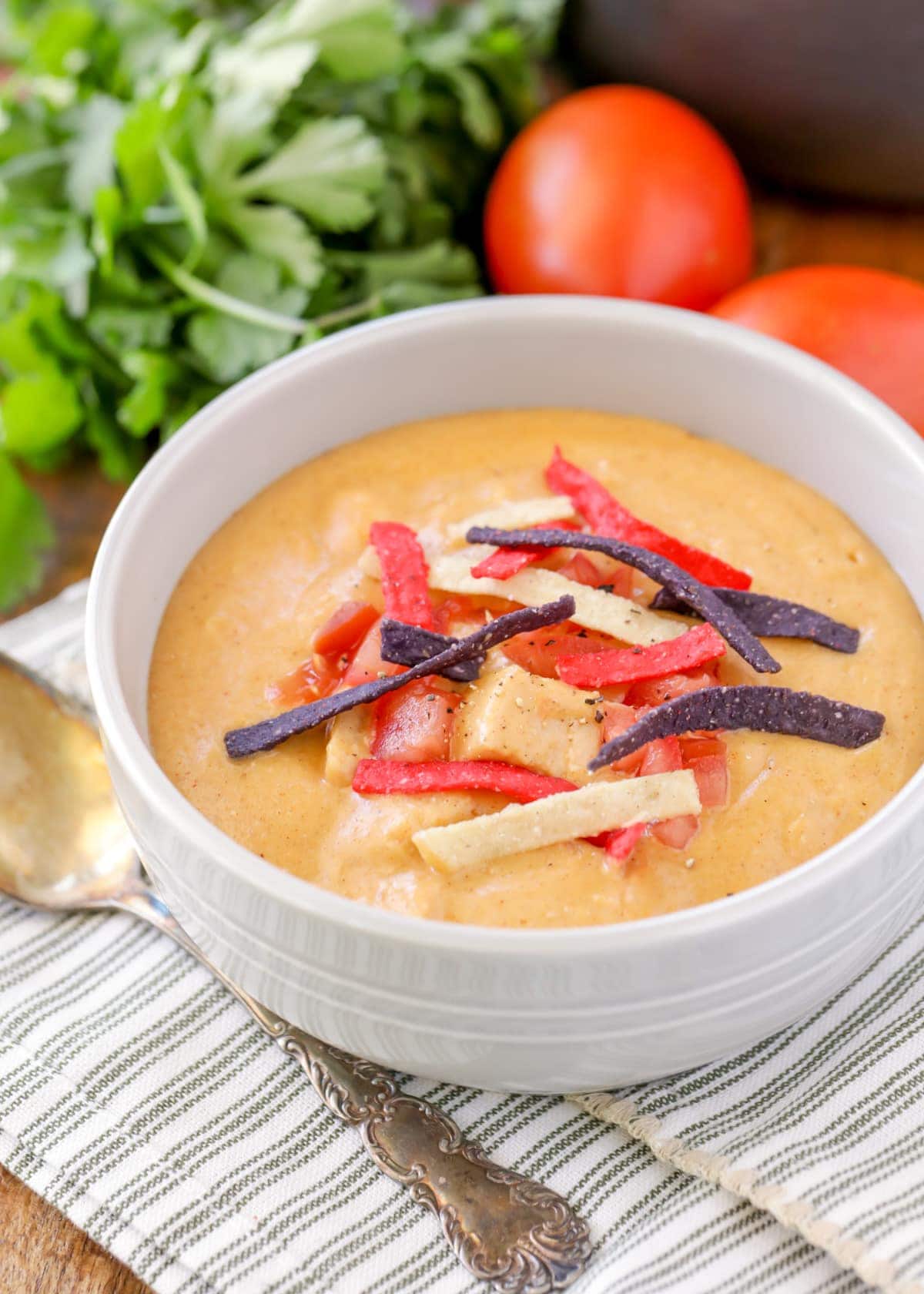 Chili's chicken enchilada soup - Lil' Luna