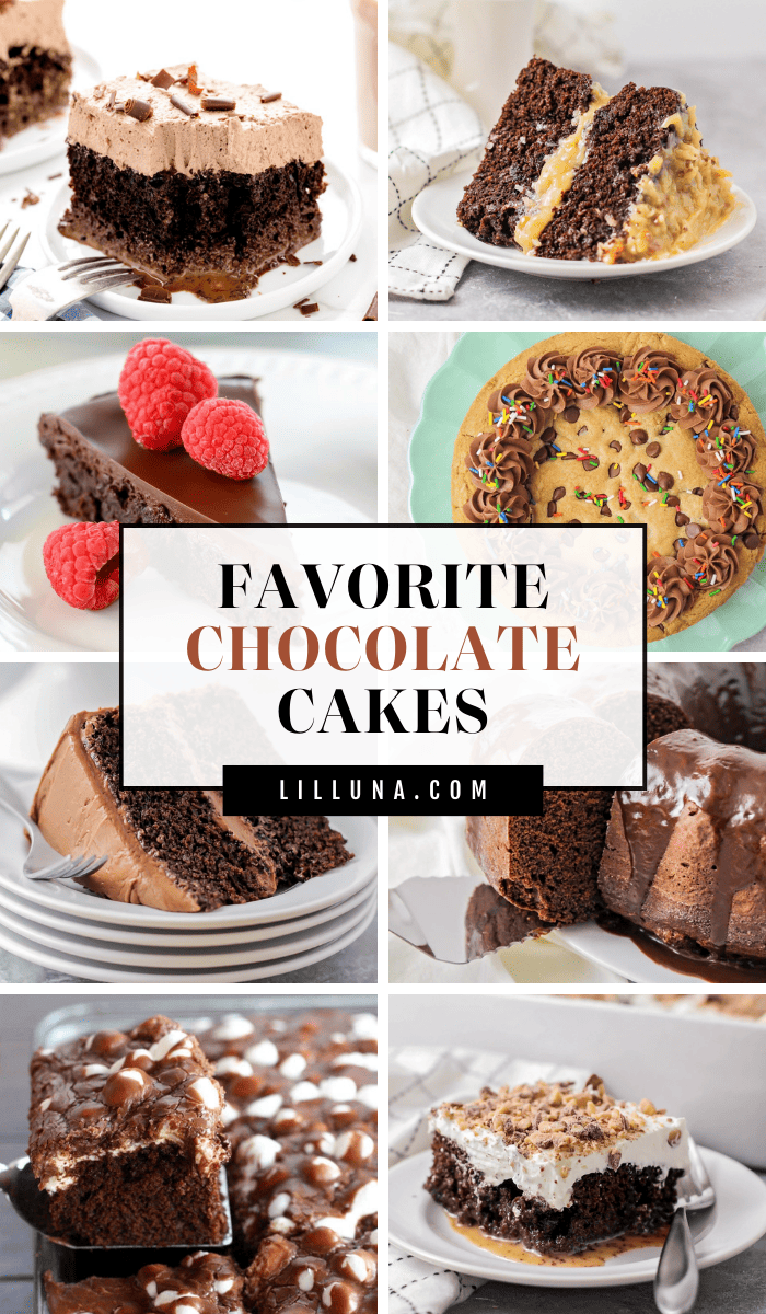 15+ Chocolate Cake Recipes | Lil' Luna