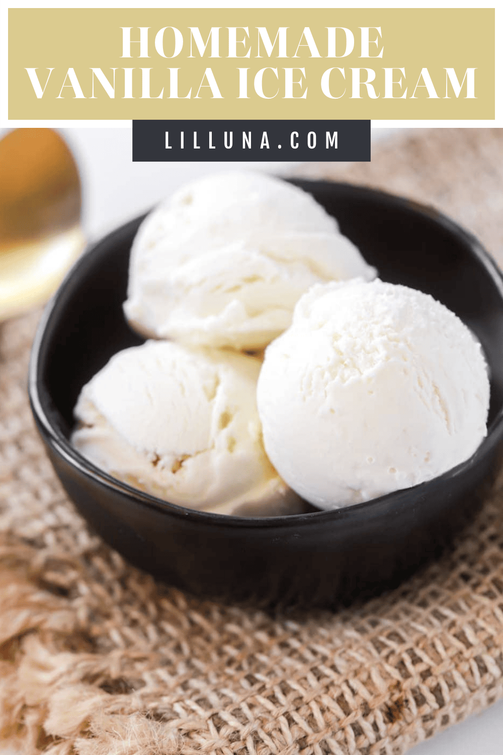 Homemade Vanilla Ice Cream Recipe | Lil' Luna