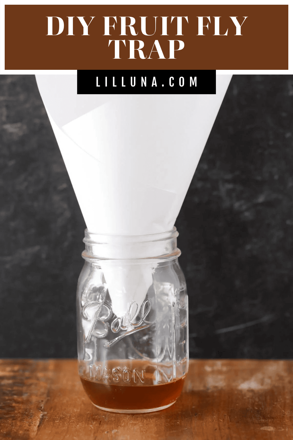Easy Diy Fruit Fly Trap