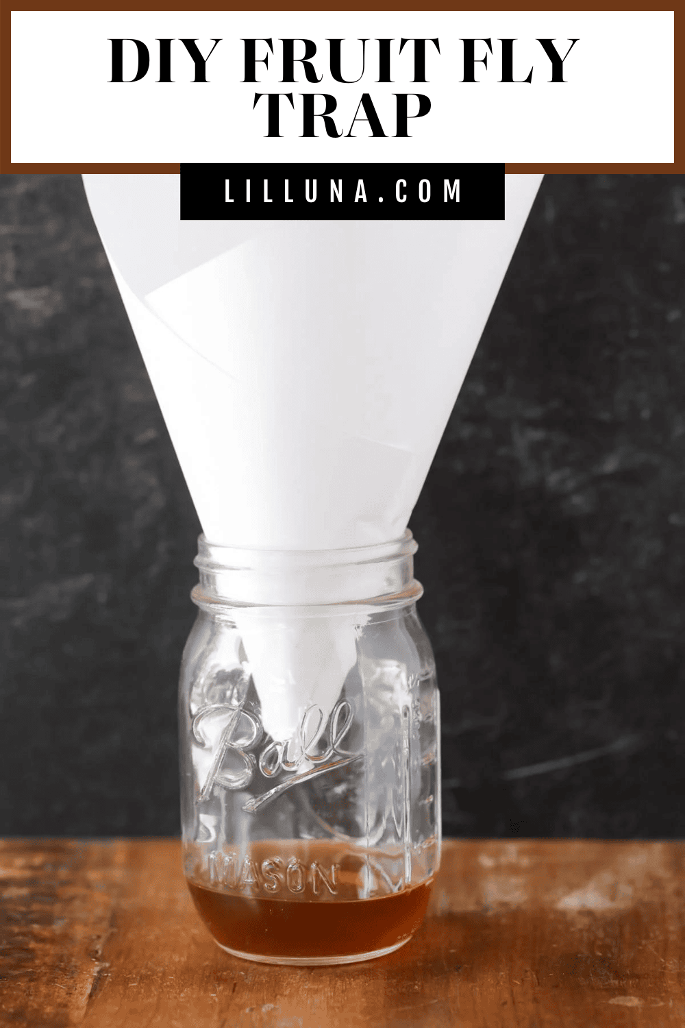 DIY Fruit Fly Trap | Lil' Luna