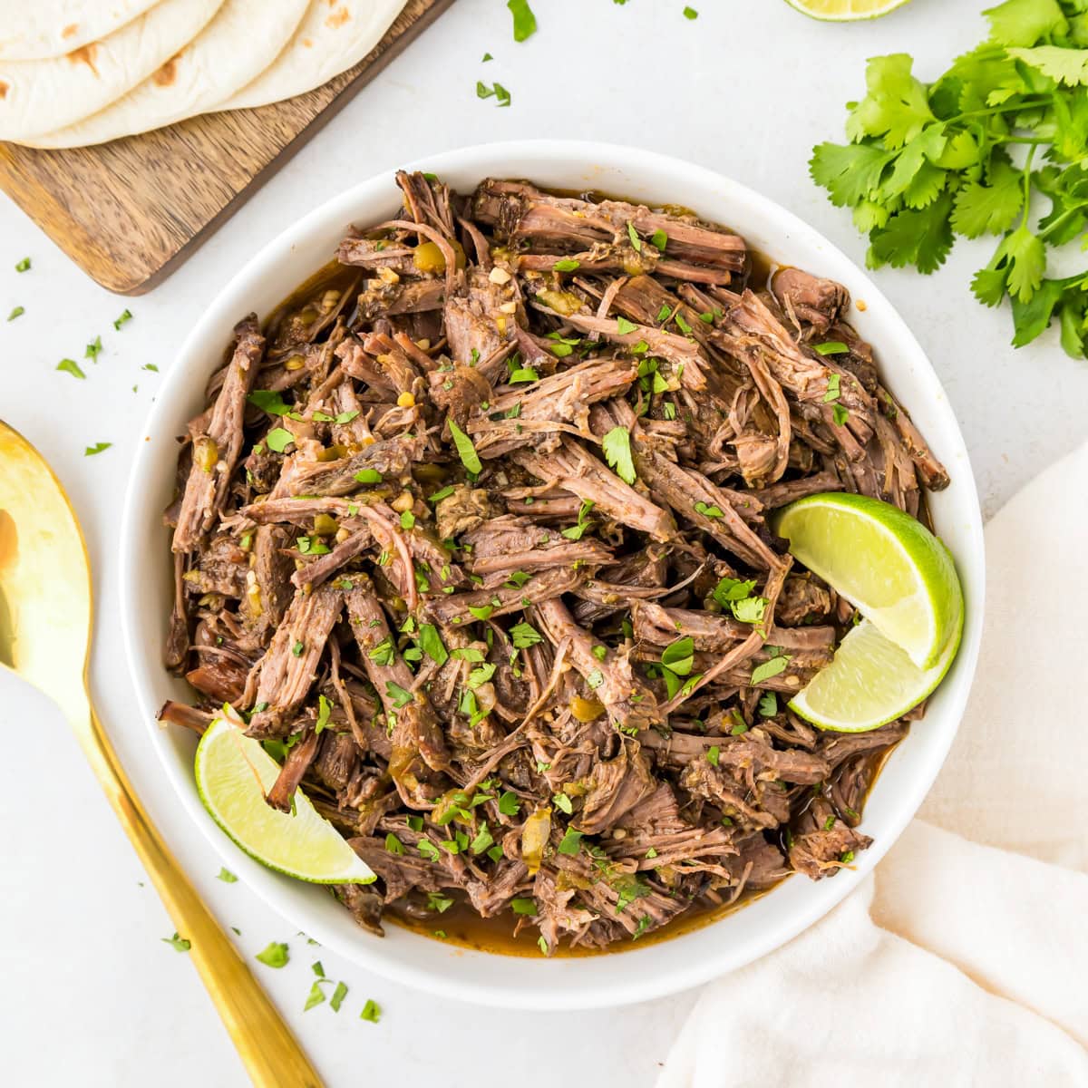 25+ Mexican Beef Recipes | Lil' Luna