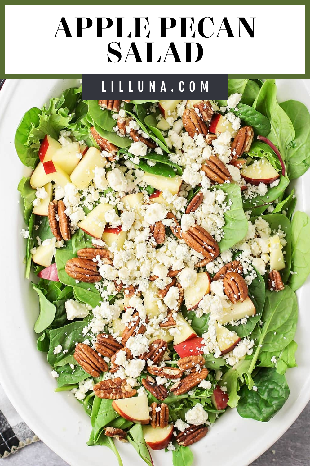 Apple Pecan Salad Recipe | Lil' Luna
