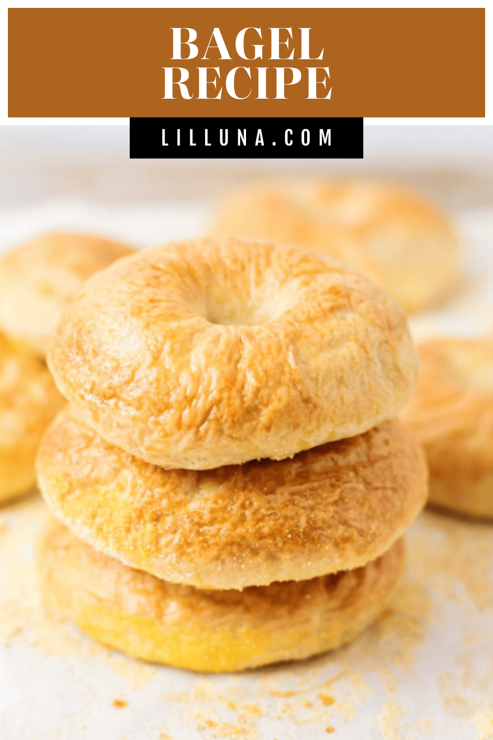 Homemade Bagel Recipe | Lil' Luna