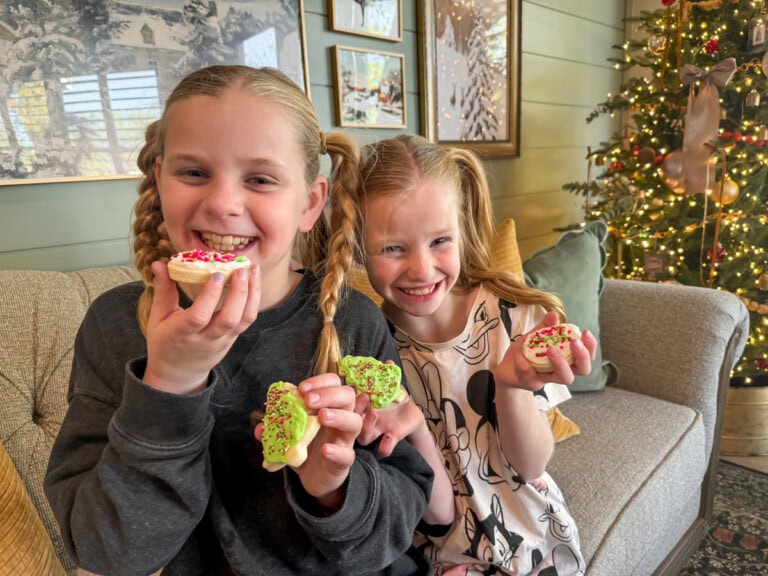 50+ Christmas Traditions and Activities for your Family